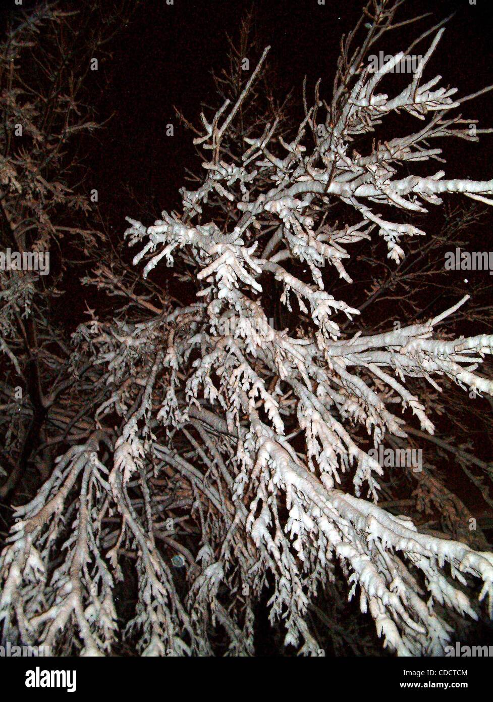 K28293ML SD1225.CHRISTMAS DAY SNOWSTORM .NEW YORK New York, 2002. MITCH ...