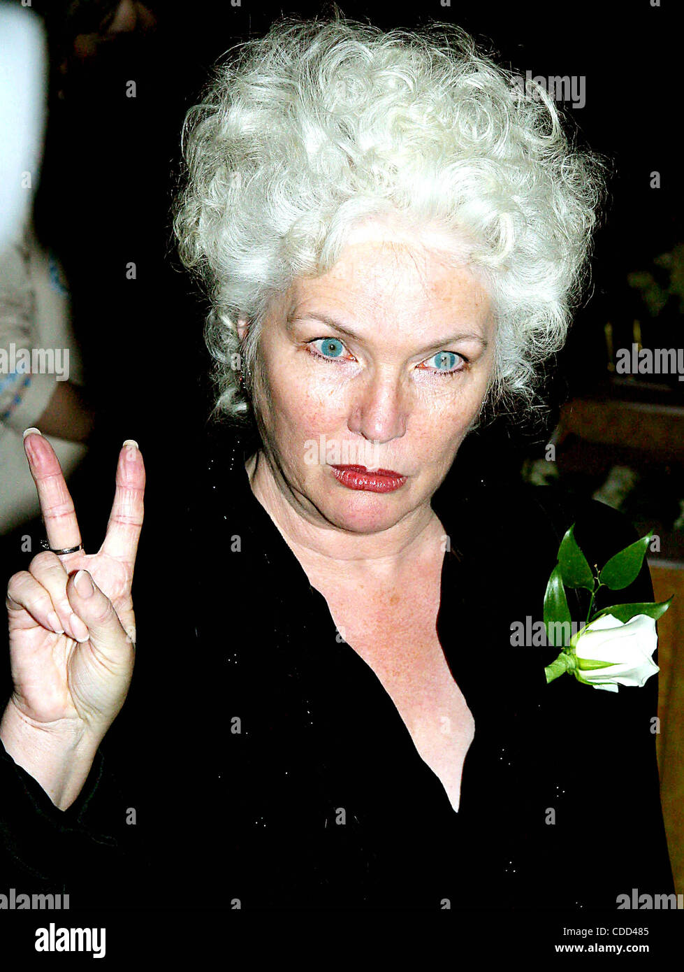 Jan. 1, 2011 - New York, New York, U.S. - K29611RM .IRISH AMERICAN ...