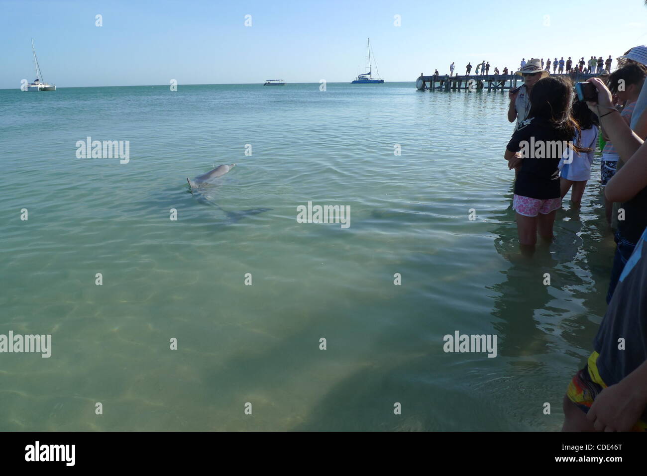 Jan 05, 2011 - Monkey Mia, Western Australia, Australia - Monkey Mia is ...