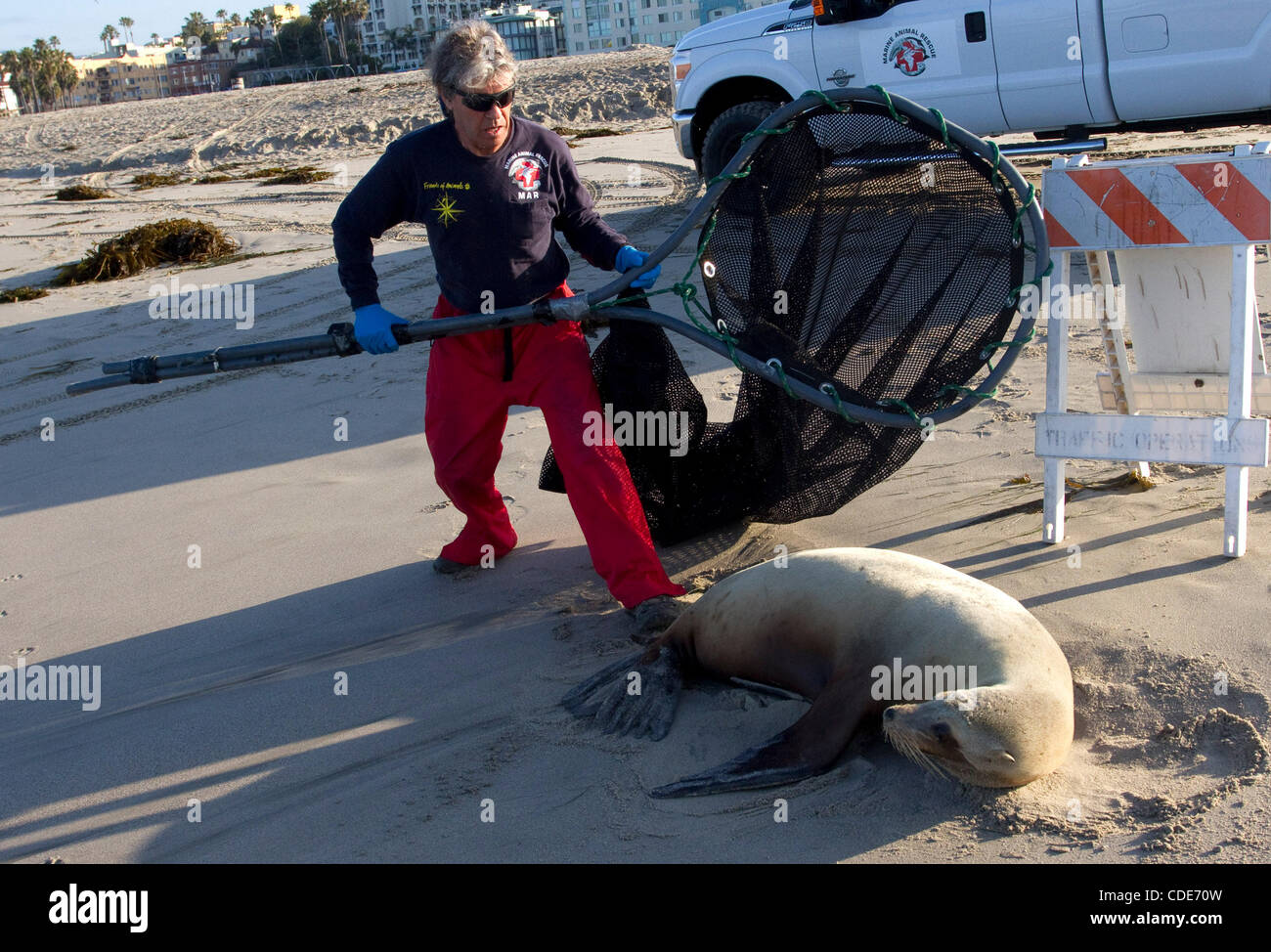 Algae nets hi-res stock photography and images - Alamy