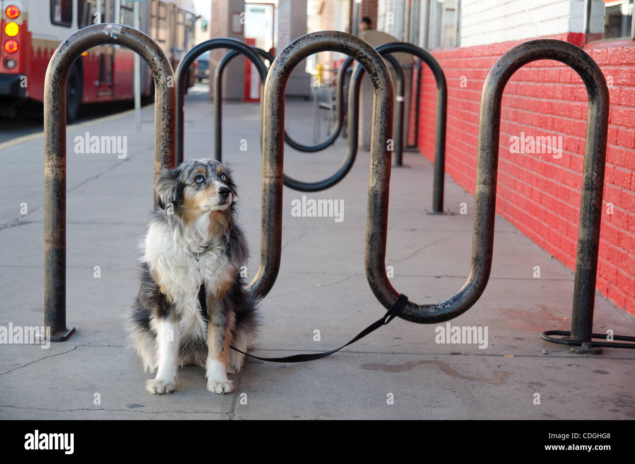 Caleb shepherd hi-res stock photography and images - Alamy