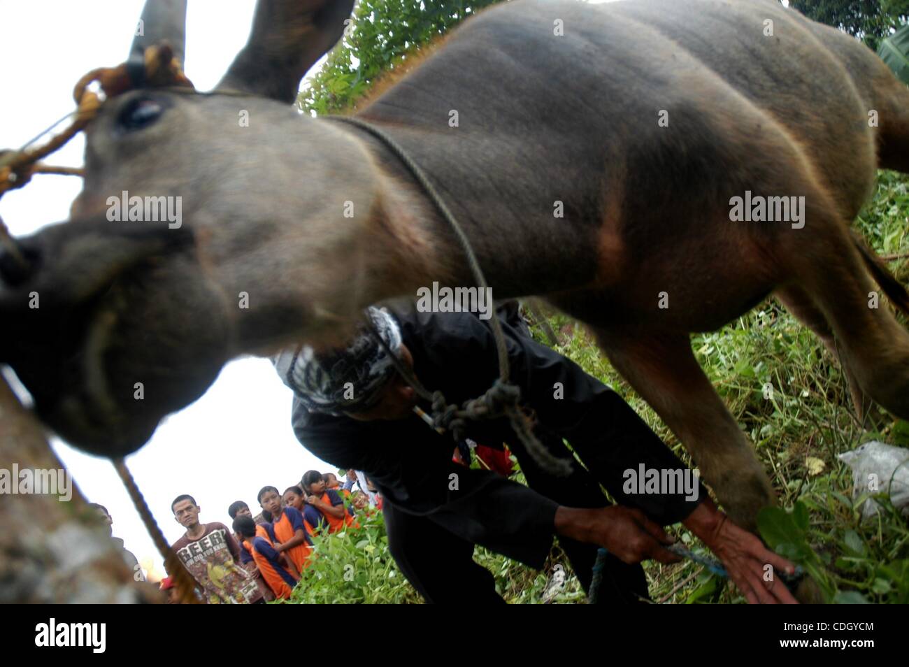 Jan 23, 2011 - Bogor, West Java, Indonesia - Villagers gather for ...