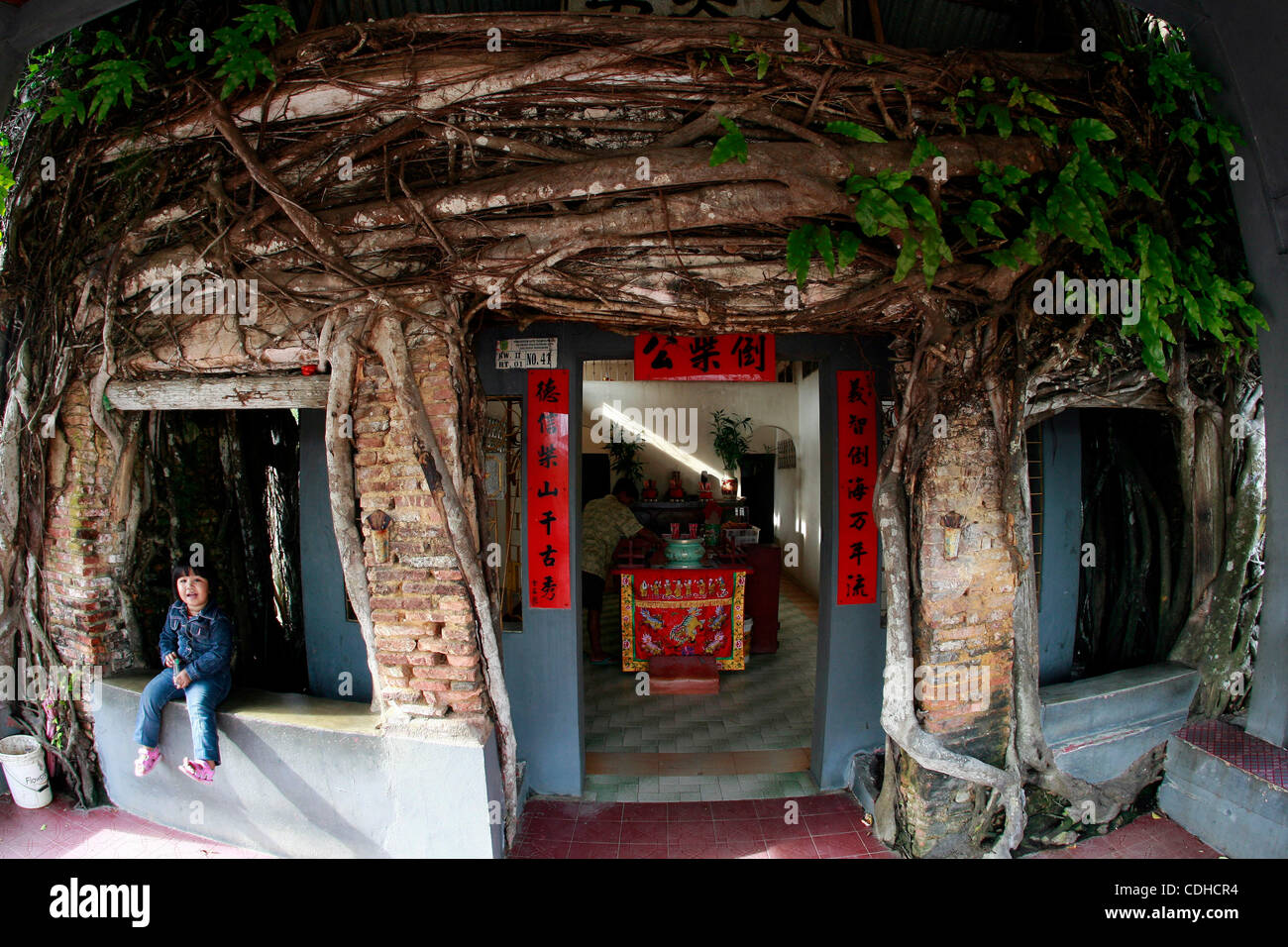 Feb 03, 2011 - Bintan, Indonesia - Banyan†Pagoda†Tree†or†local†people ...
