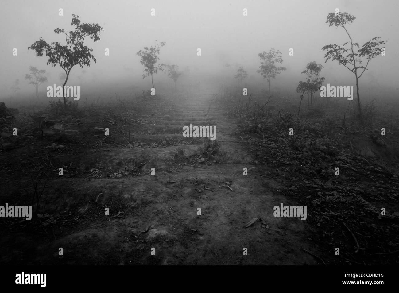 Feb 03, 2011 - Lima, Peru - Many of the slums surrounding the city have ...