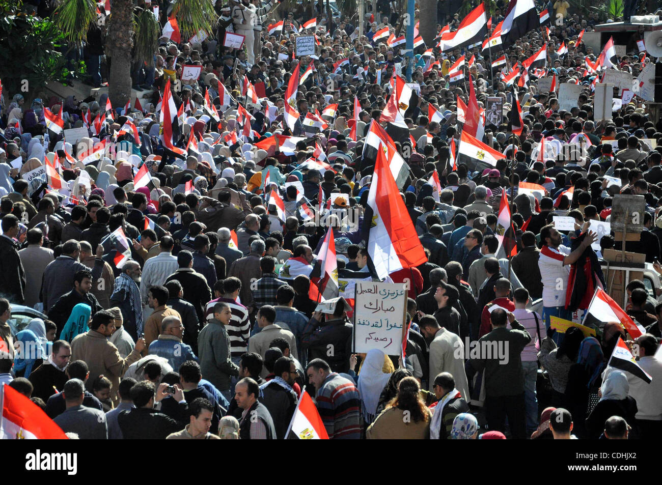 Egyptian anti government protesters gather in Alexandria, Egypt, on 08 ...