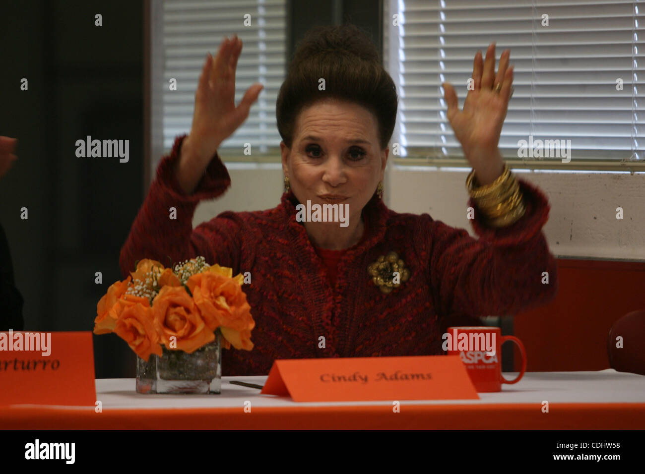 Cindy adams hi-res stock photography and images - Alamy