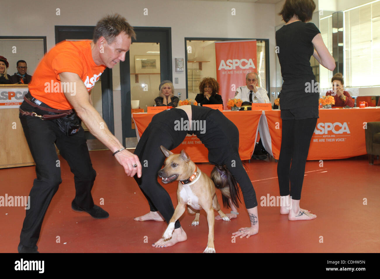 ASPCA dogs Vie for "Best in Show" at Sixth Annual Talent Competition ...