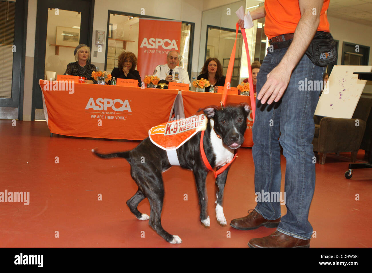 ASPCA dogs Vie for "Best in Show" at Sixth Annual Talent Competition ...