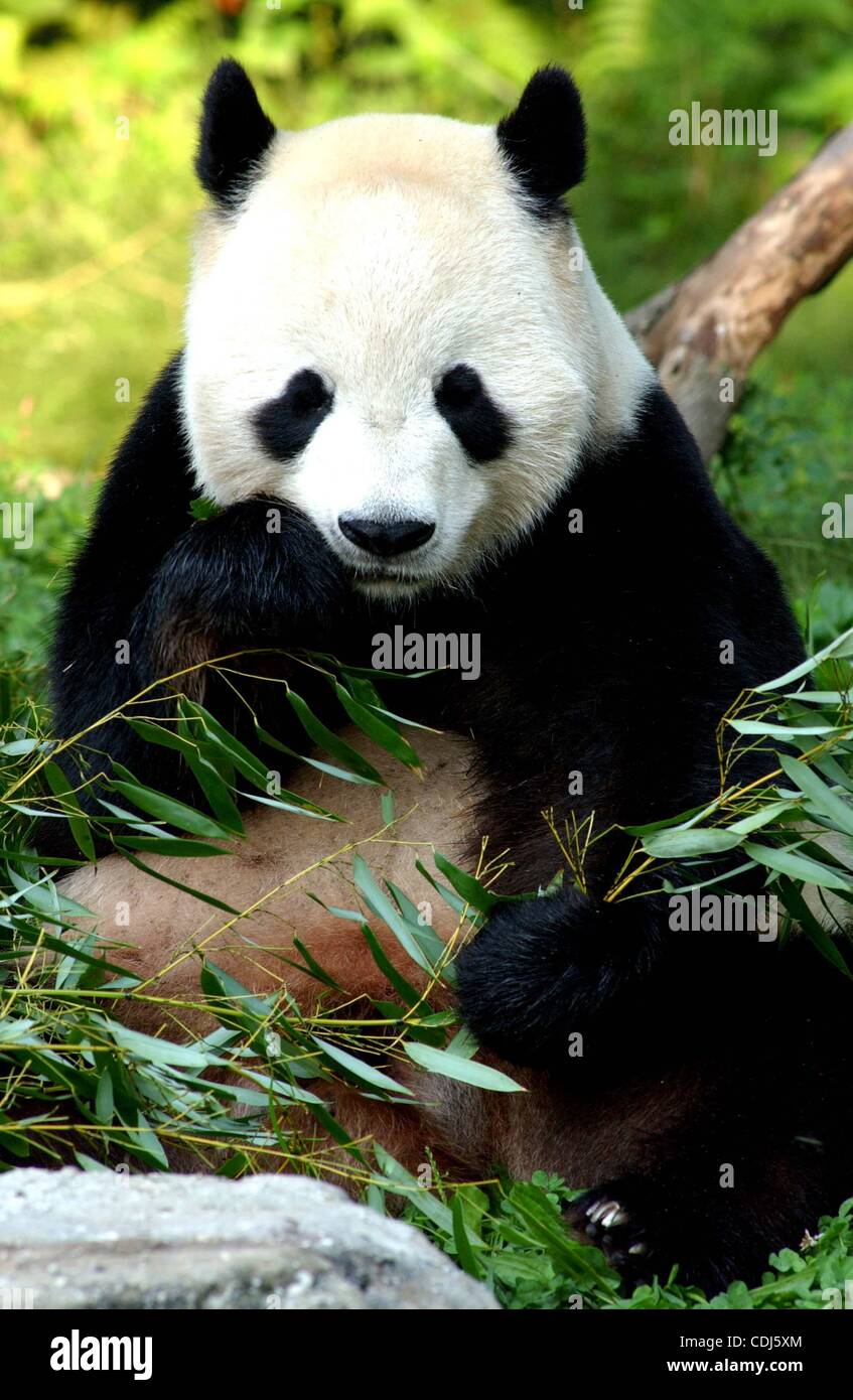 National zoo washington dc hi-res stock photography and images - Alamy