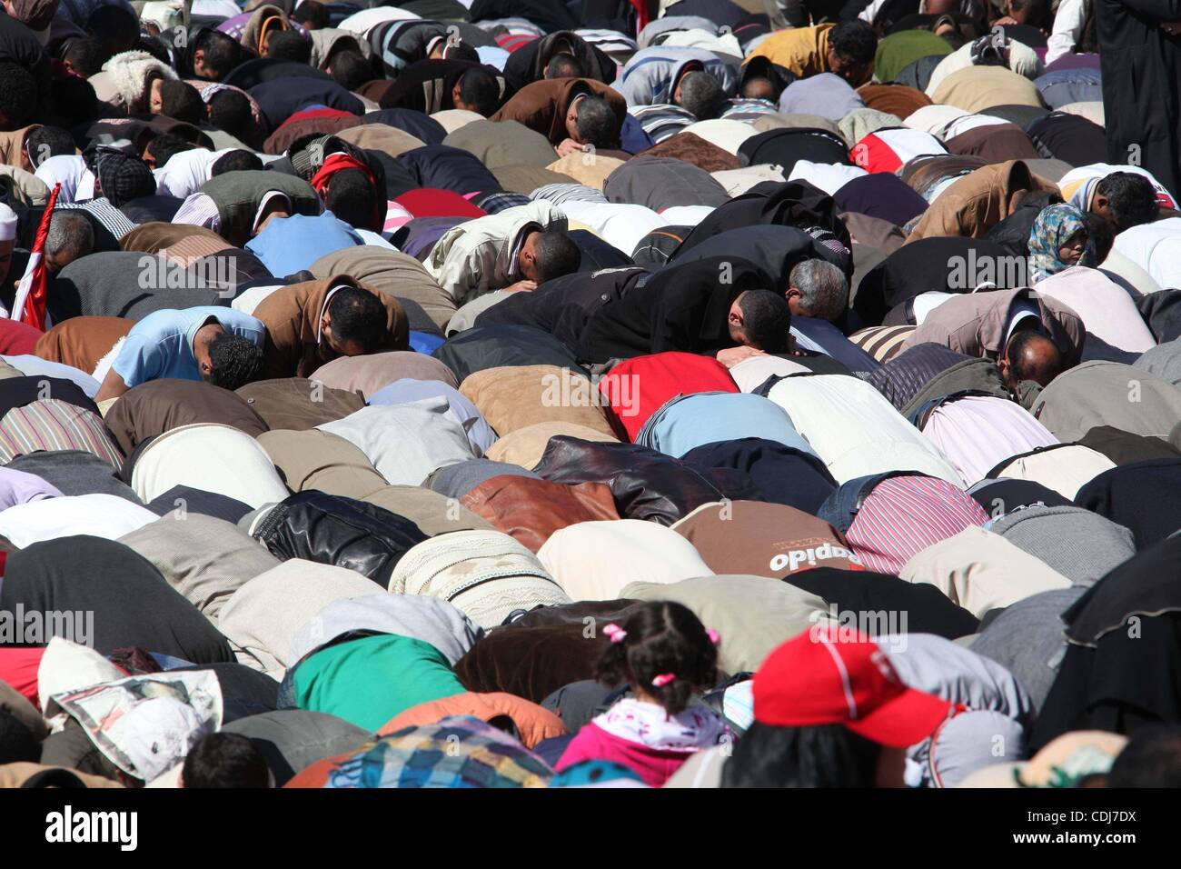 Feb 18, 2011 - Cairo, Egypt - Thousands attend Friday prayers and a ...
