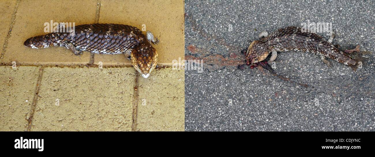 Sektnan High Resolution Stock Photography and Images - Alamy