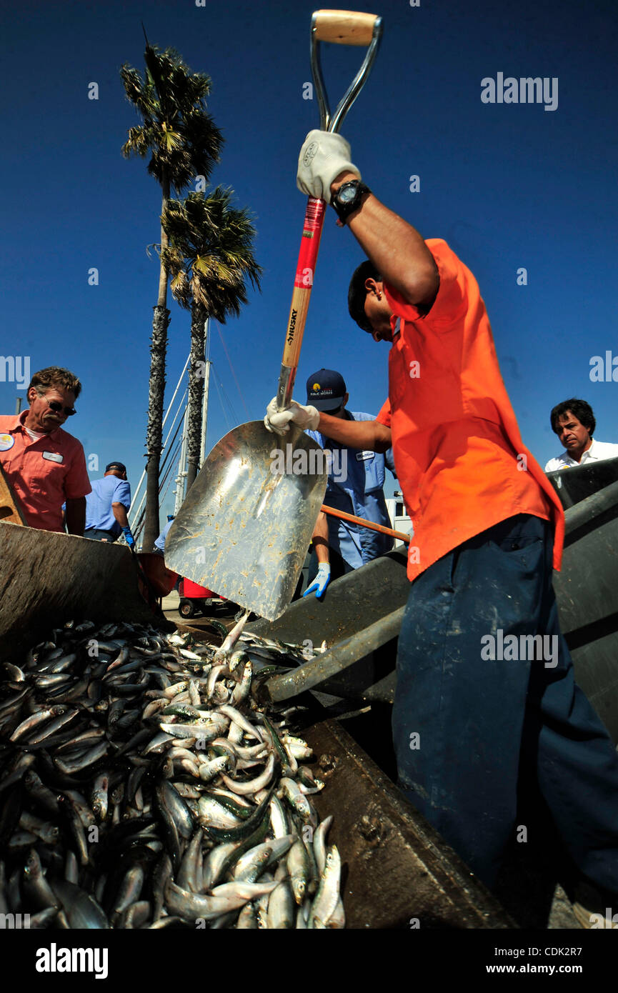 Transport dead hi-res stock photography and images - Alamy