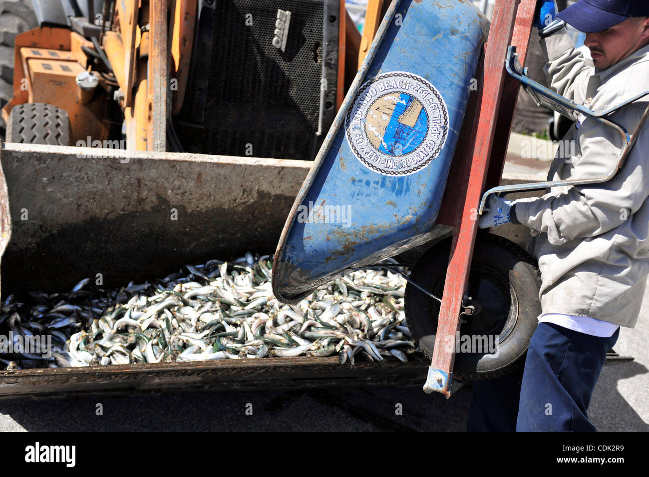 Transport dead hi-res stock photography and images - Alamy