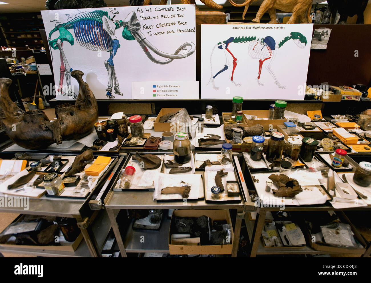 Mar. 09, 2011 - Los Angeles, California, USA - A portion of the Page ...