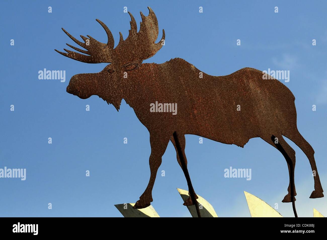 John moose hi-res stock photography and images - Alamy