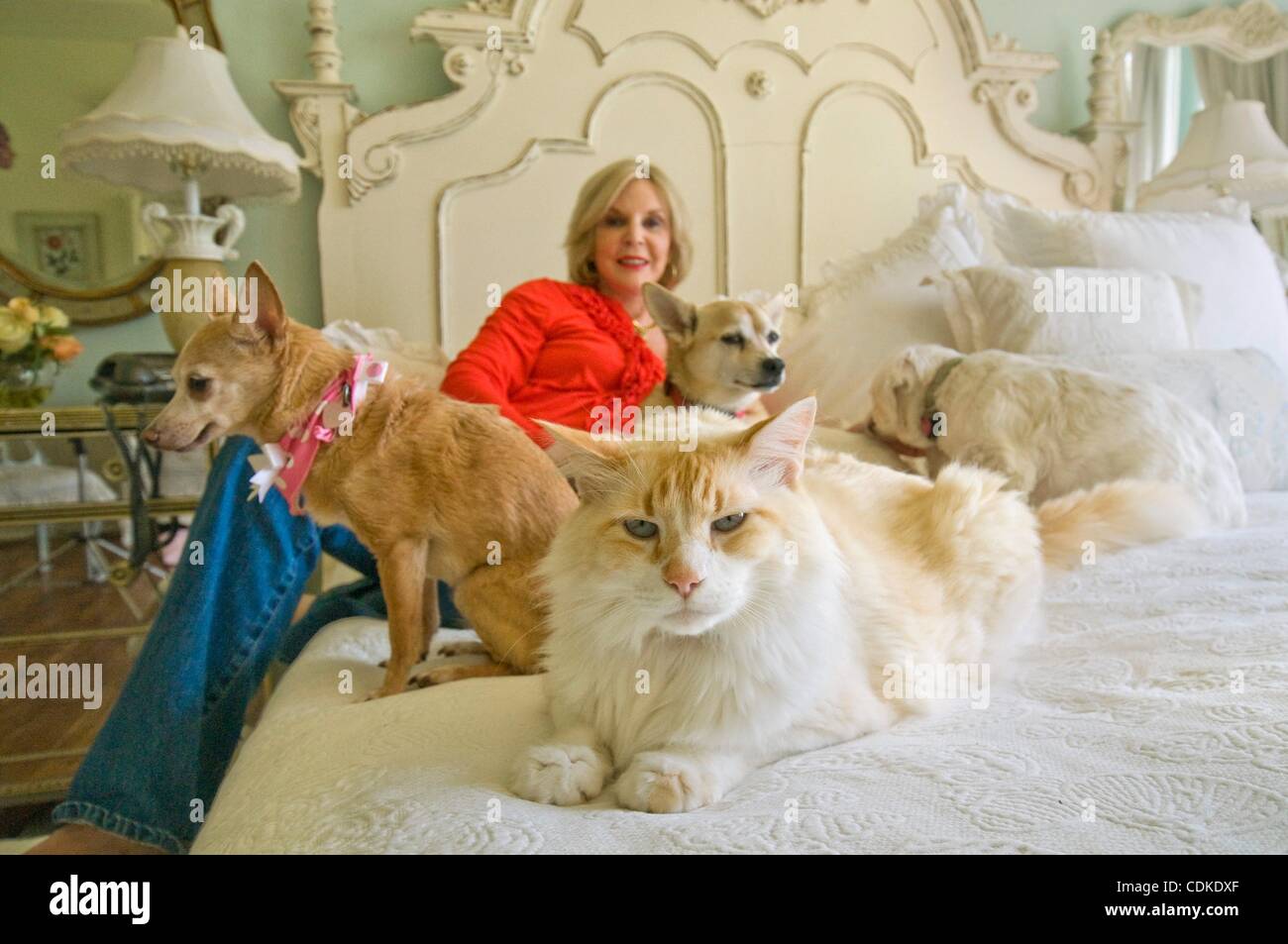 Sonya fitzpatrick hi-res stock photography and images - Alamy