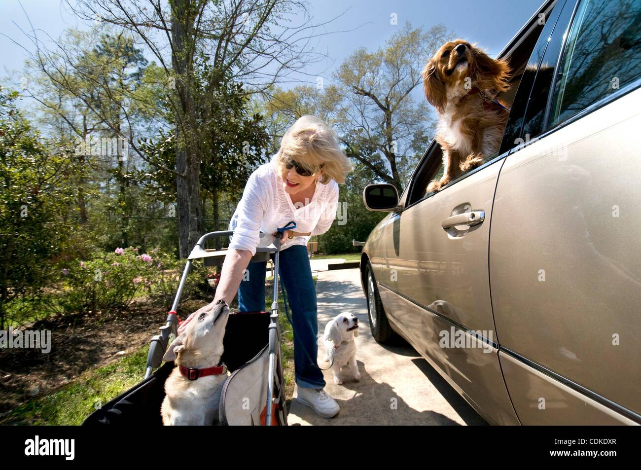 Sonya fitzpatrick hi-res stock photography and images - Alamy
