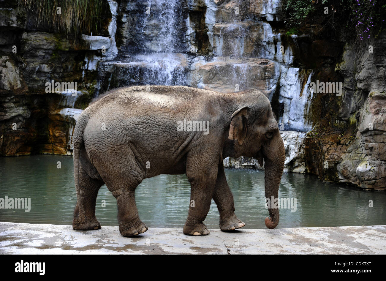 John chaffey hi-res stock photography and images - Alamy