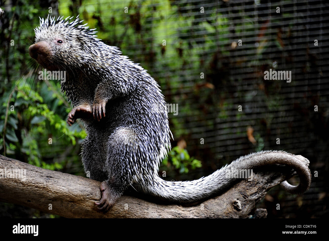 John chaffey hi-res stock photography and images - Alamy