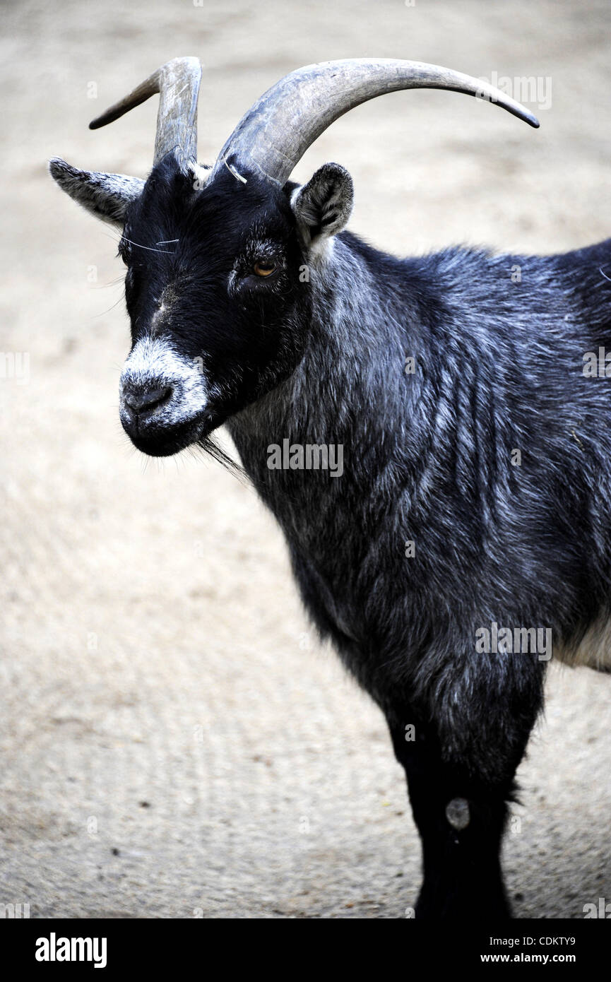 John chaffey hi-res stock photography and images - Alamy
