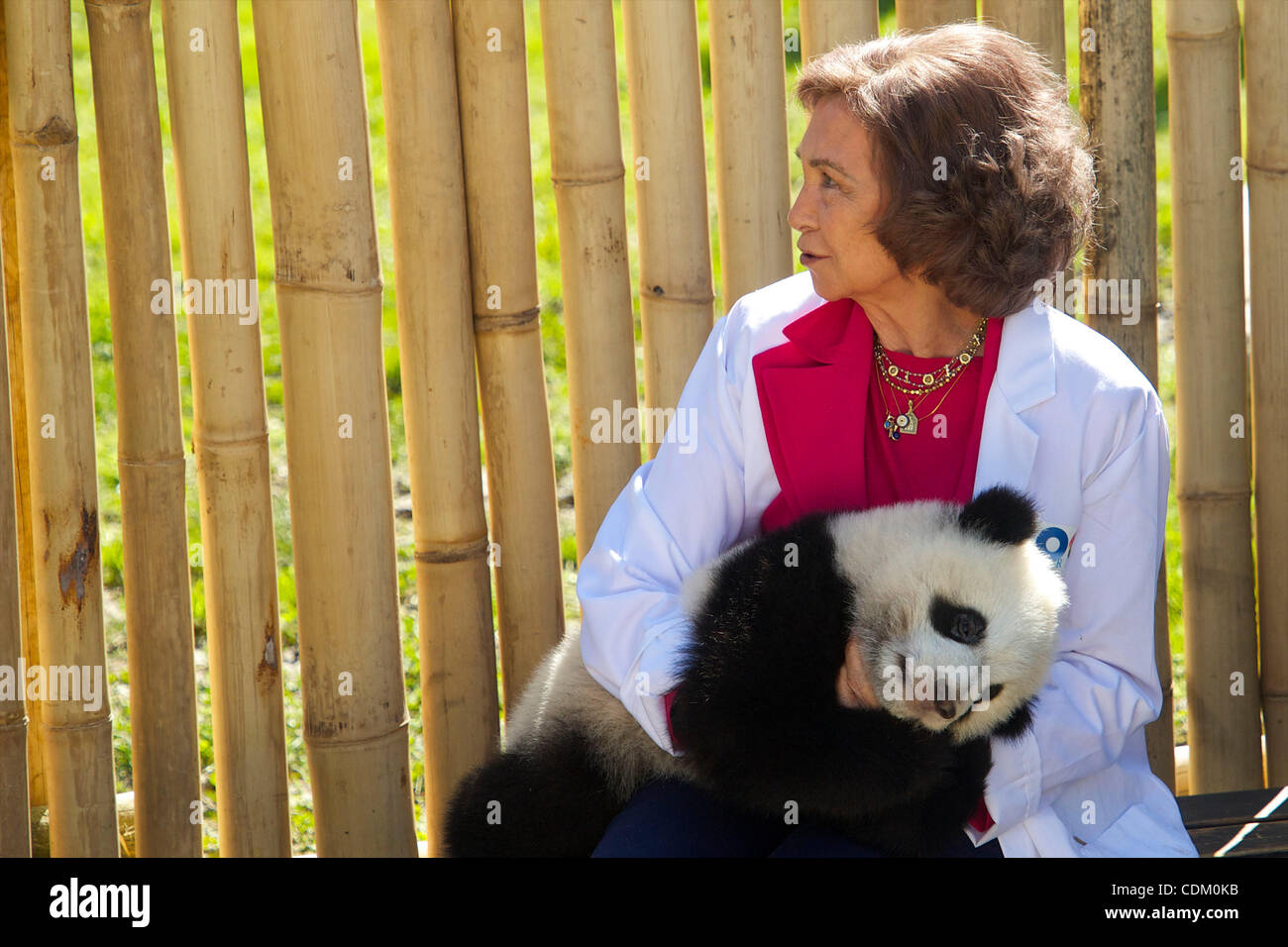 Spanish Queen Sofia visit the nursery area for pandas and play with the ...