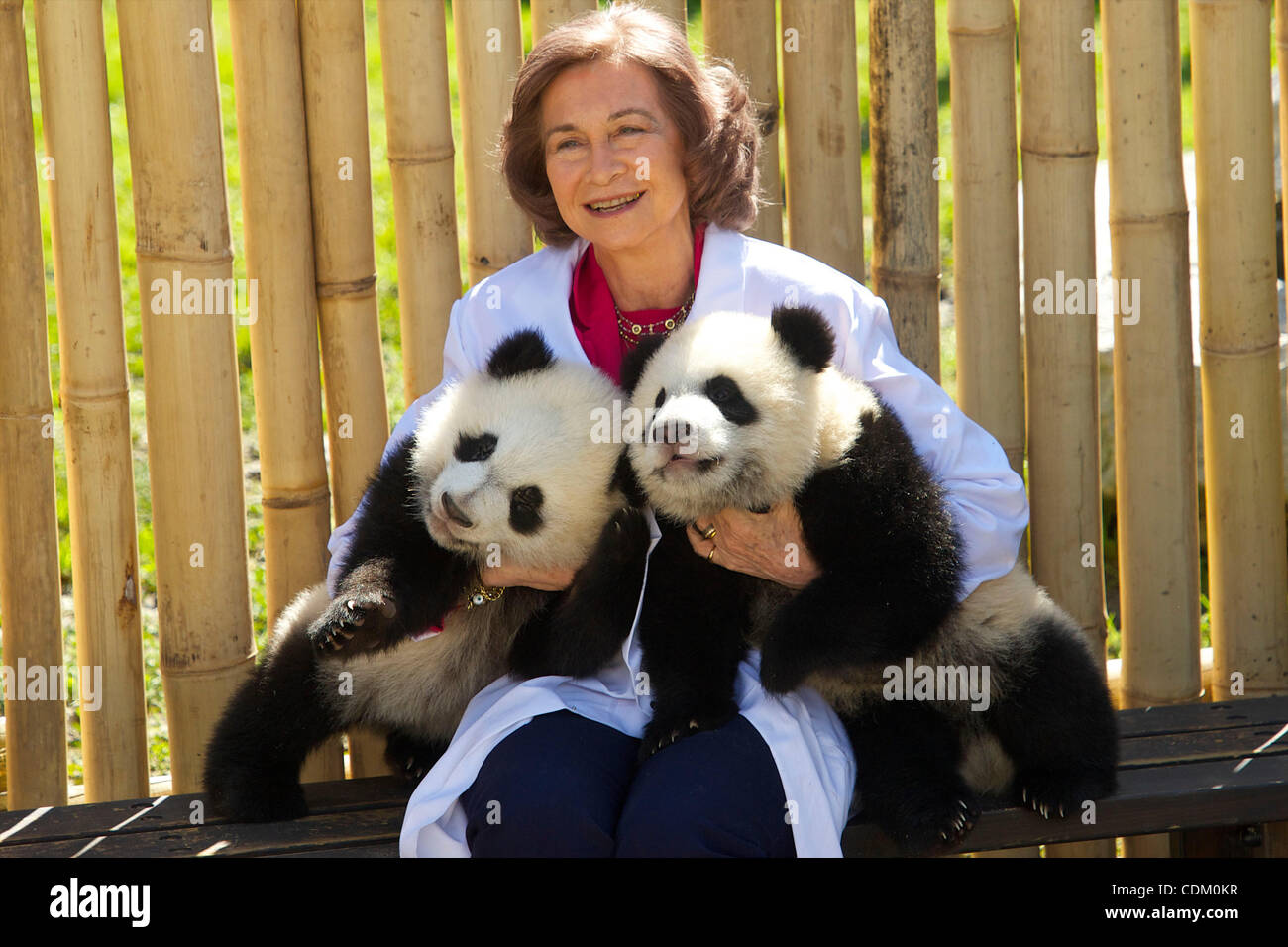 Spanish Queen Sofia visit the nursery area for pandas and play with the ...