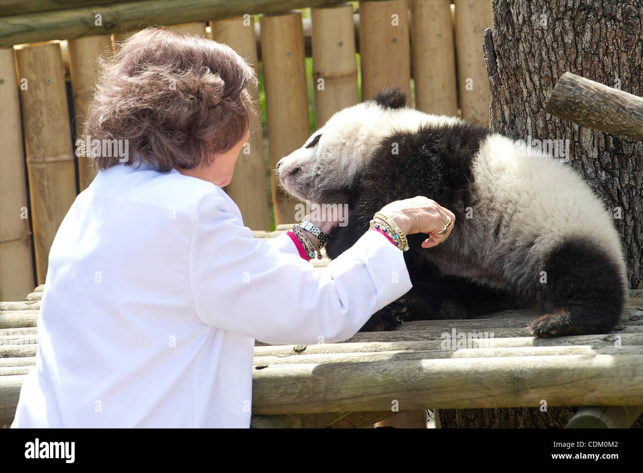 Spanish Queen Sofia visit the nursery area for pandas and play with the ...