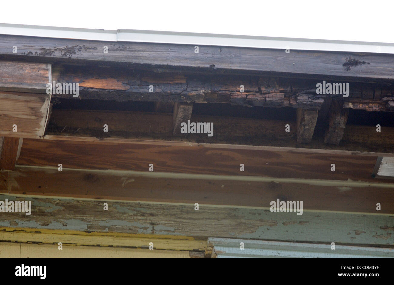 Hab 30 hi-res stock photography and images - Alamy