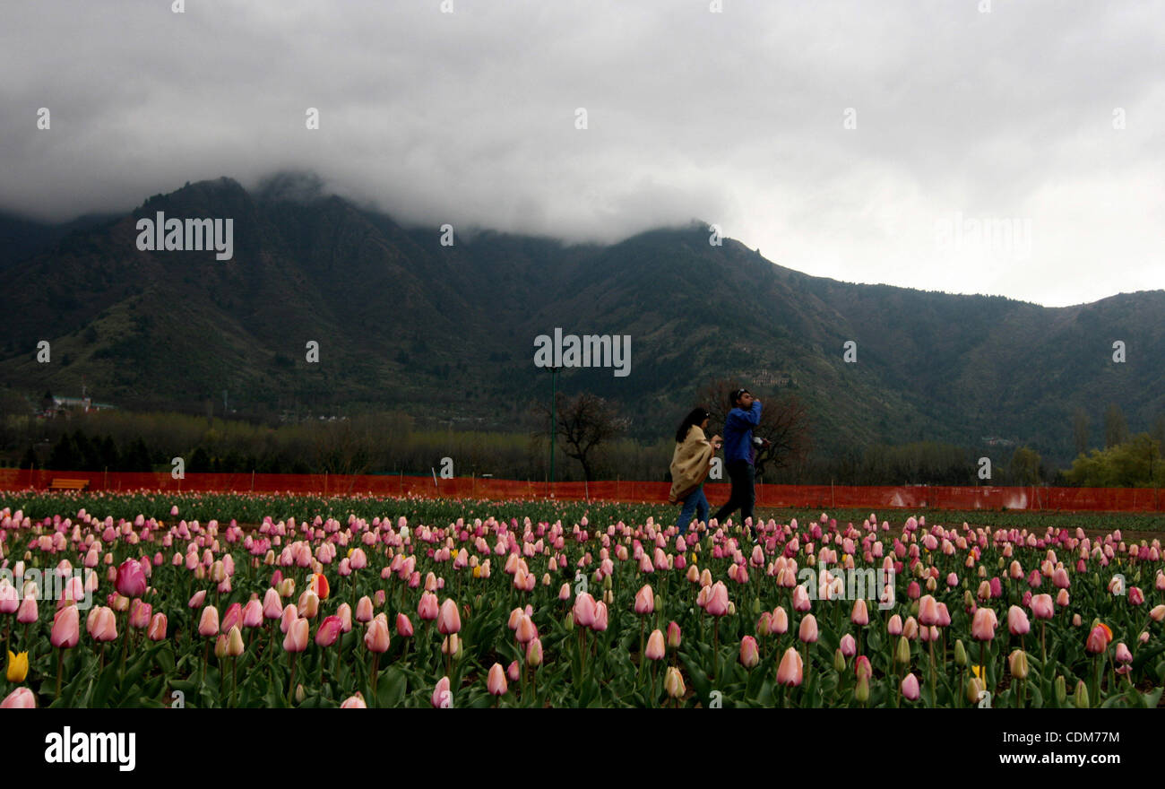 tourists walk among tulip flowers in the Indra Gandhi Memorial Tulip ...