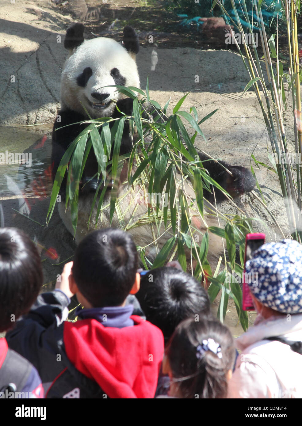 Ueno zoo panda hi-res stock photography and images - Alamy