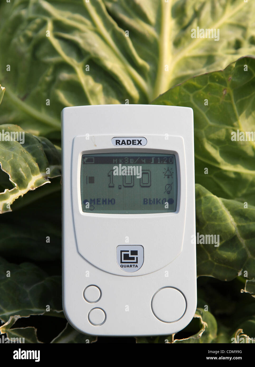 Apr. 2, 2011 - Iwaki, Japan - Radiation indicator indicates 1.00Î¼Sv/h ...