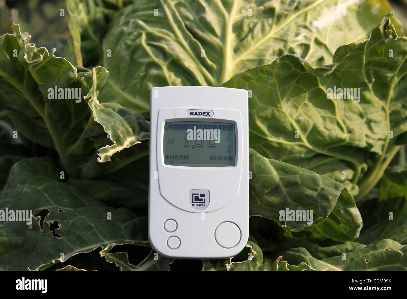 Apr. 2, 2011 - Iwaki, Japan - Radiation indicator indicates 1.00Î¼Sv/h ...