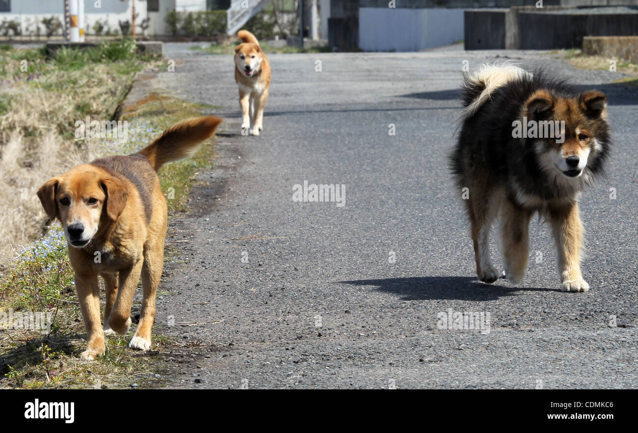 Dog Exclusion Areas High Resolution Stock Photography and Images - Alamy