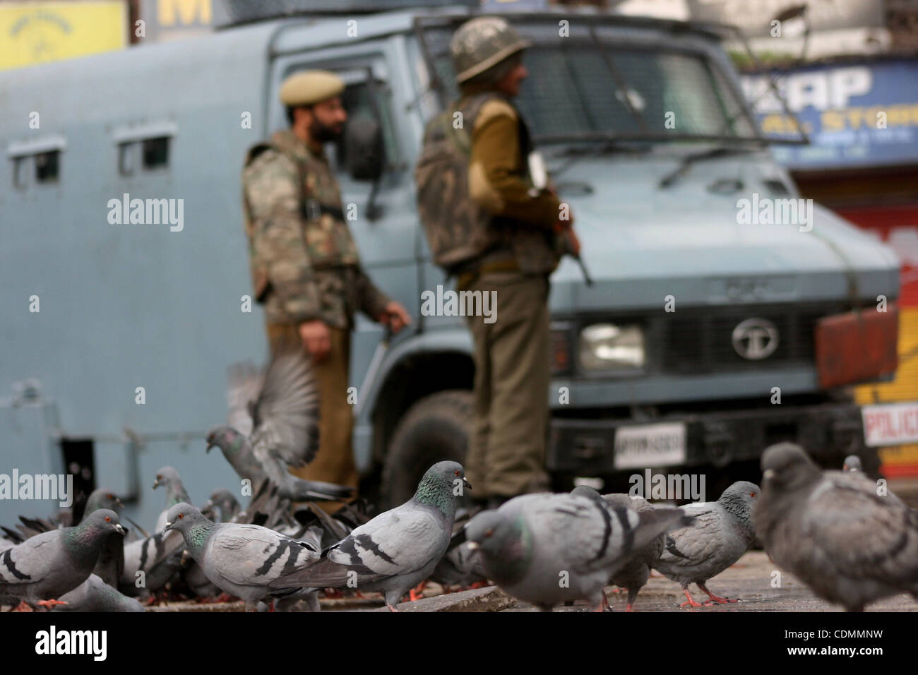 pigeons take food on the road as A Indian paramilitary troops stands ...