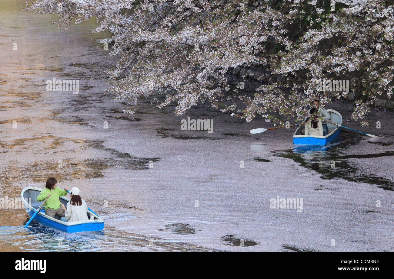 Apr. 13, 2011 - Tokyo, Japan - Petals of cherry Blossom float on water ...