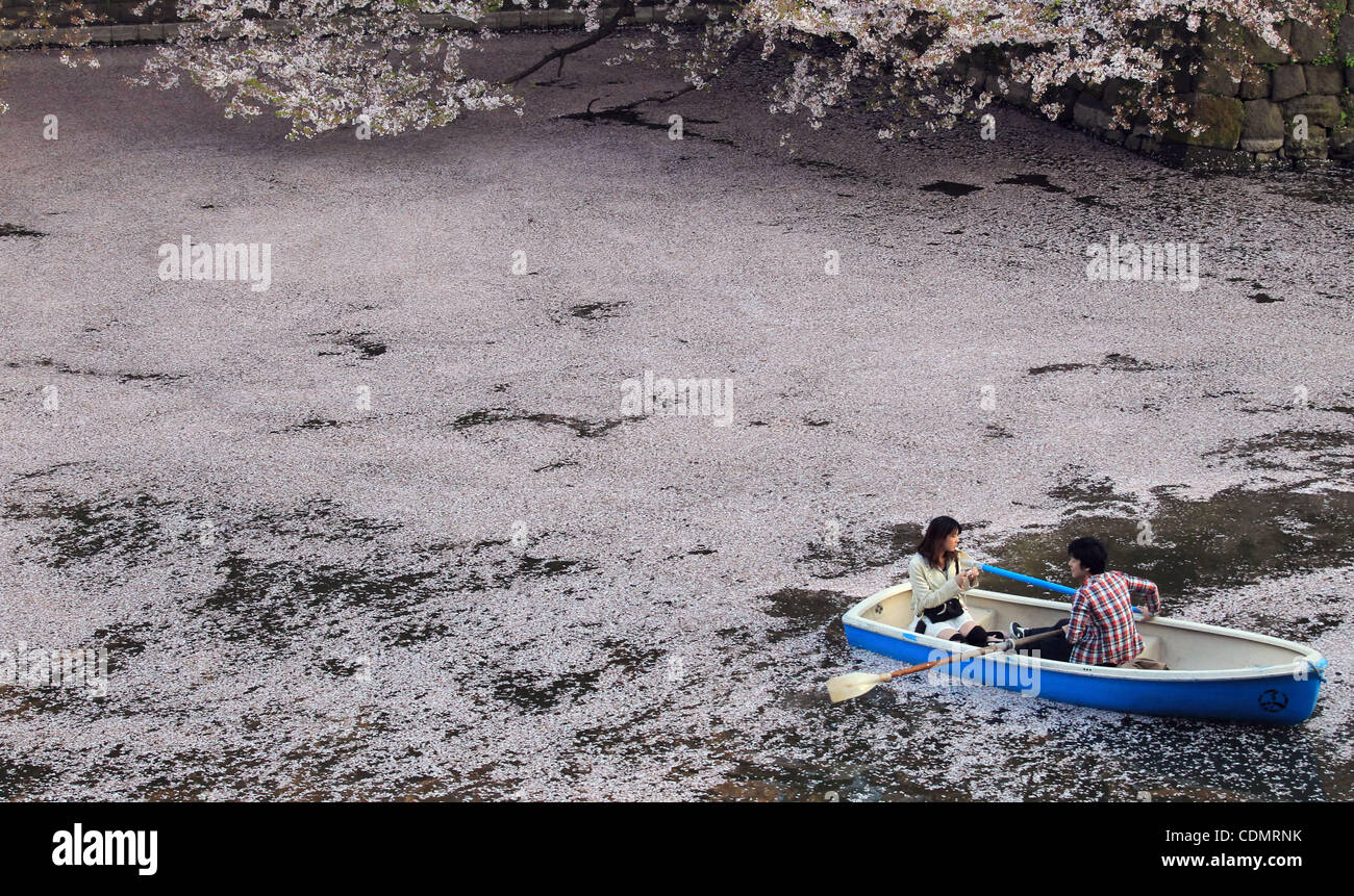 Cherry blossom petals float hi-res stock photography and images - Alamy