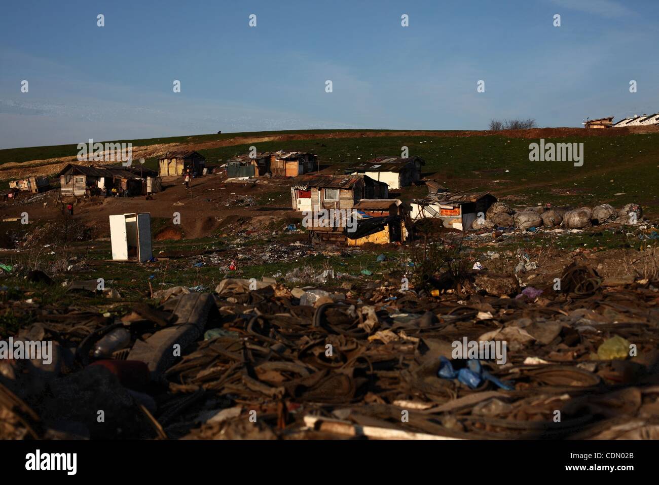 Pata rat hi-res stock photography and images - Alamy