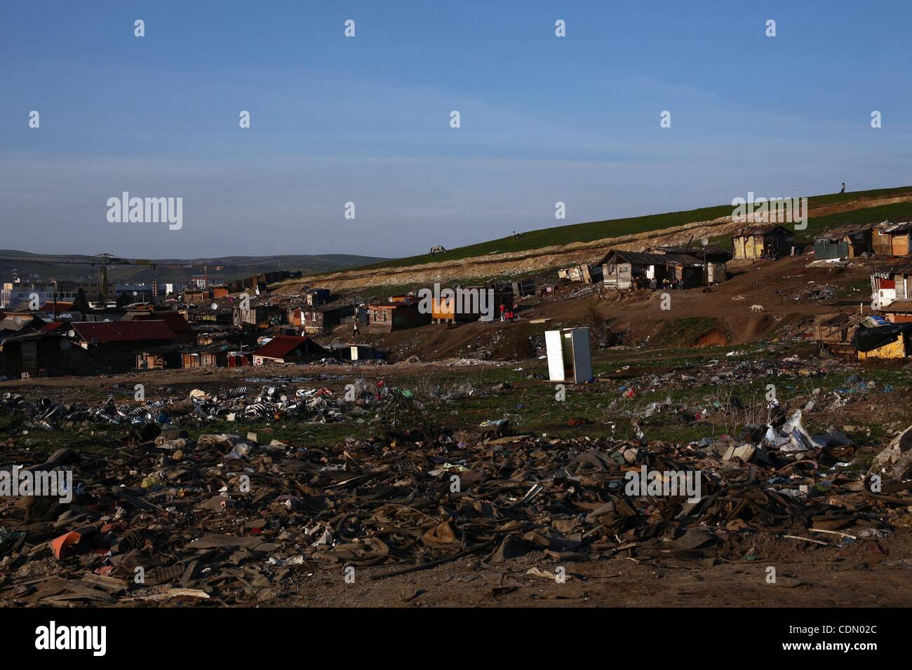 Pata rat's hi-res stock photography and images - Alamy