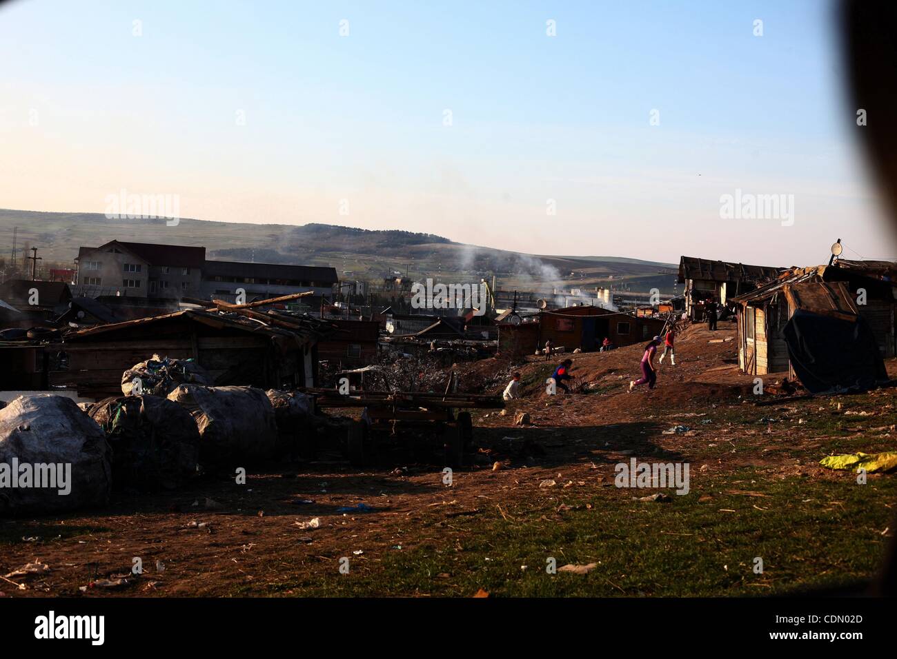 Pata rat's hi-res stock photography and images - Alamy