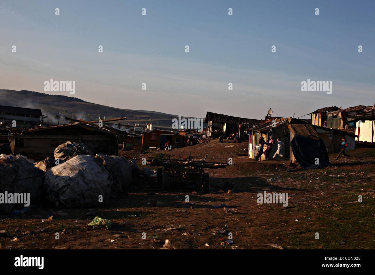 Pata rat hi-res stock photography and images - Alamy