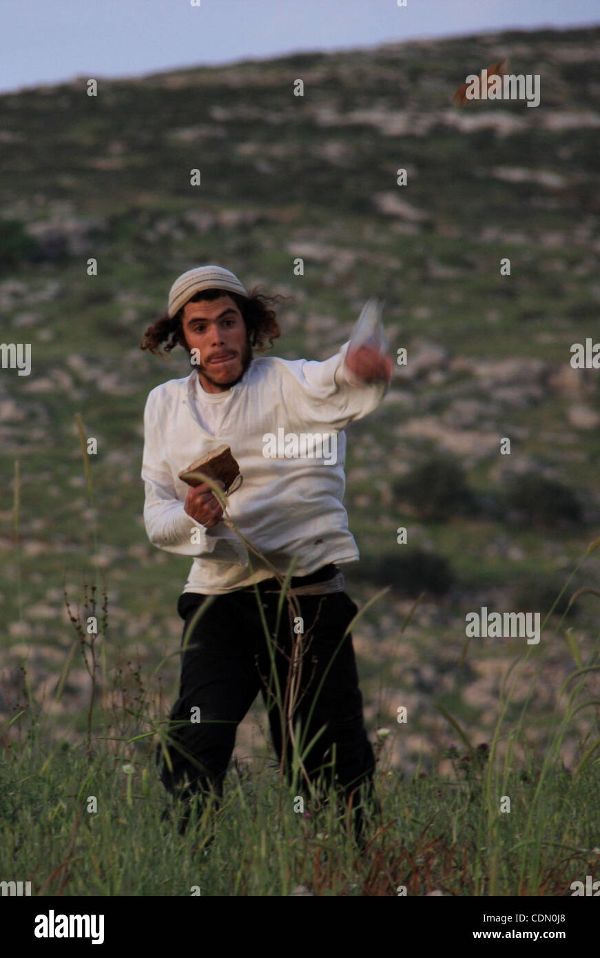 A Jewish settler from the Har Bracha settlement holds stones as he ...