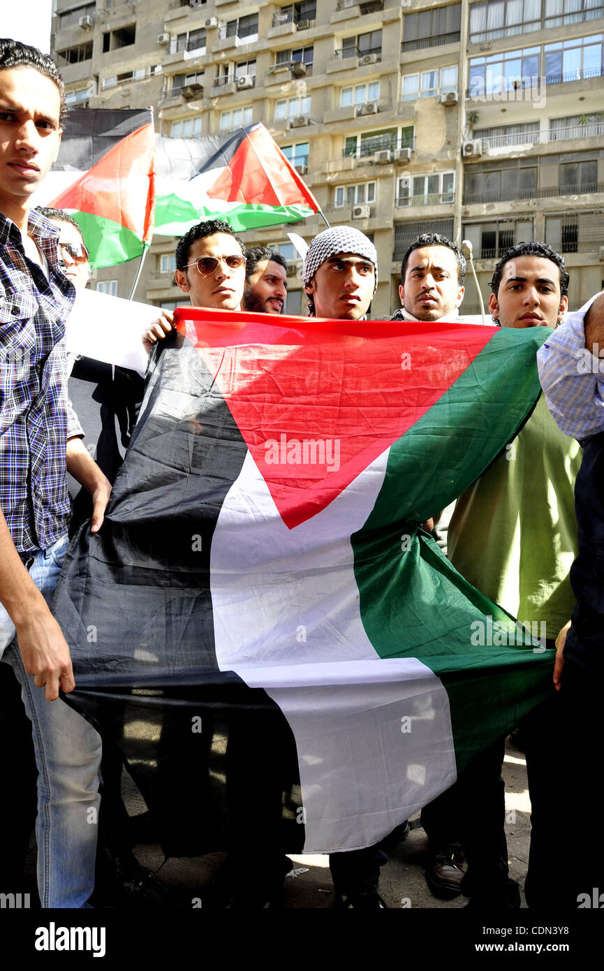 Egyptian protesters wave the Palestinian flag during a demonstration in ...