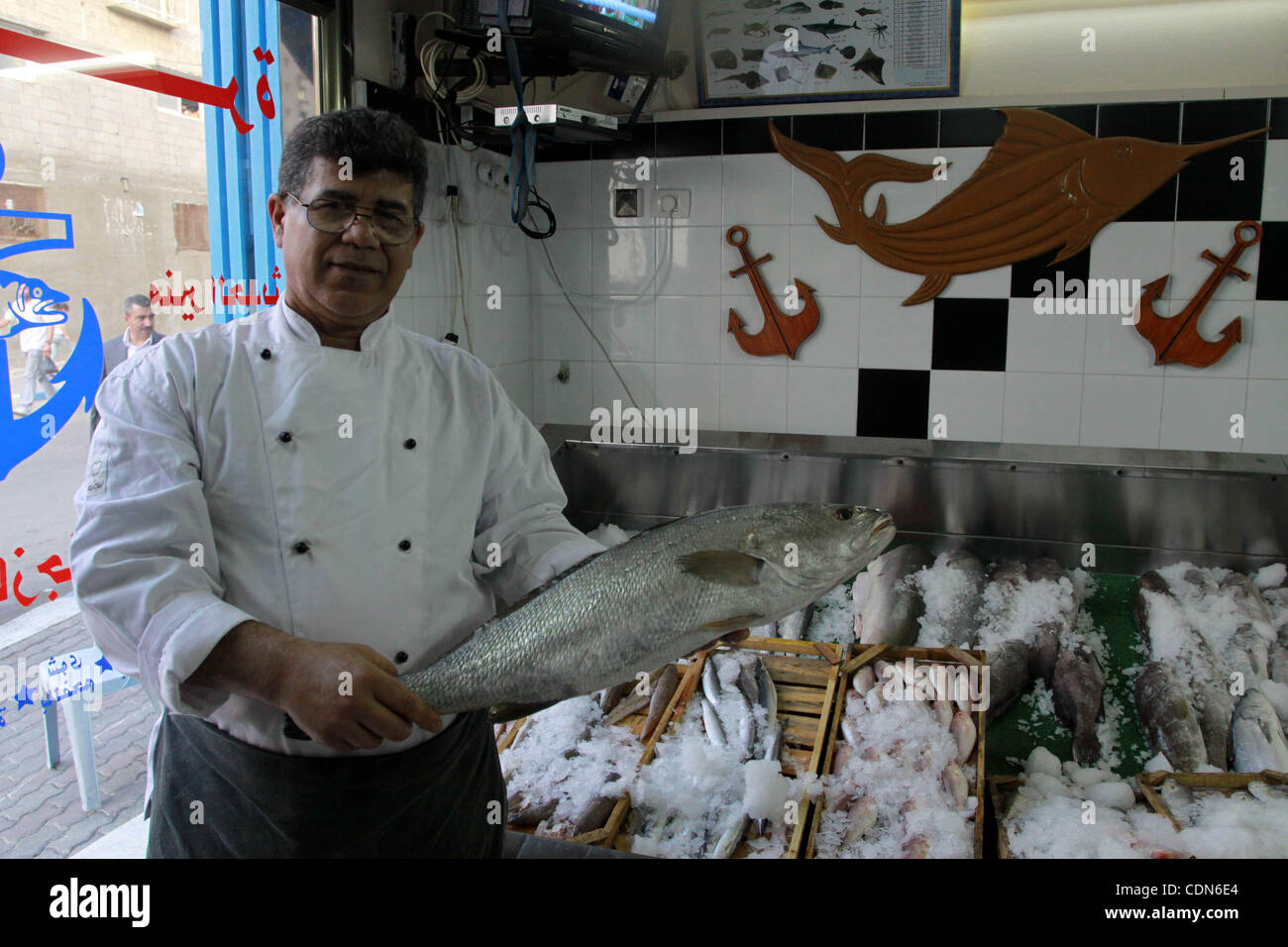 In this photo taken on May 5, 2011: A Palestinian Chef displays fish at ...