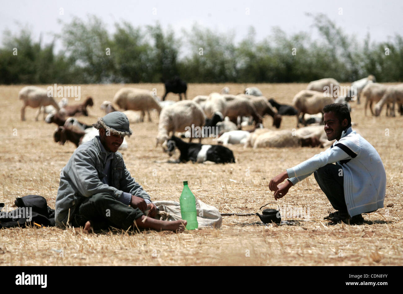 Palestinian shepherds hi-res stock photography and images - Alamy