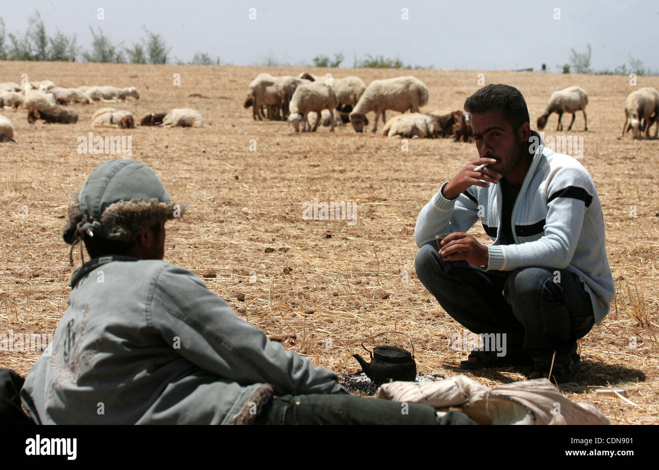 Palestinian shepherds hi-res stock photography and images - Alamy