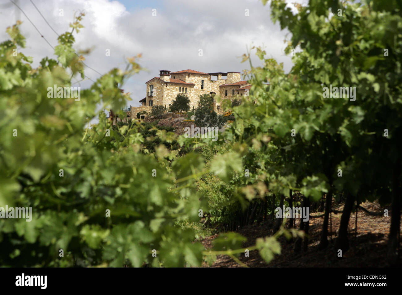 A view of Malibu Rocky Oaks Estate Vineyards at 340 Kanan Road. (Photo ...