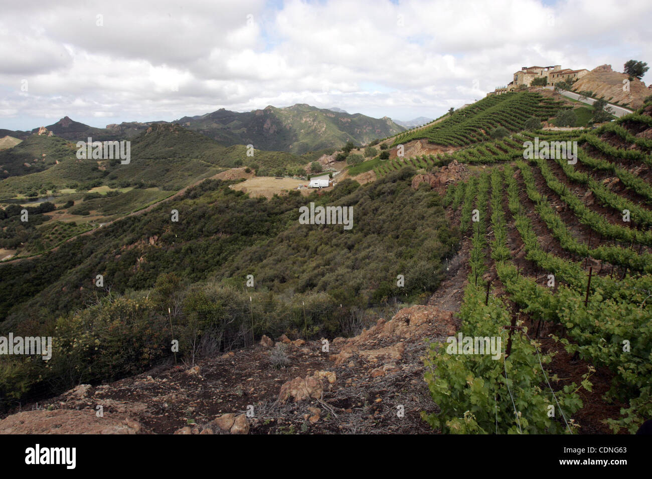 A view of Malibu Rocky Oaks Estate Vineyards at 340 Kanan Road. (Photo ...