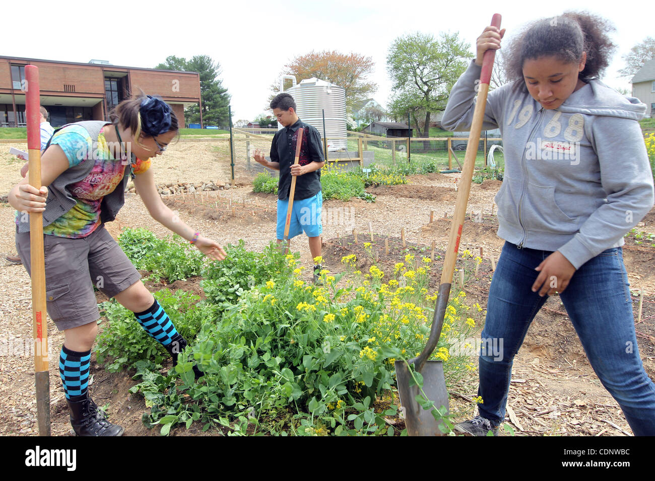 Middle school class project hi-res stock photography and images - Alamy