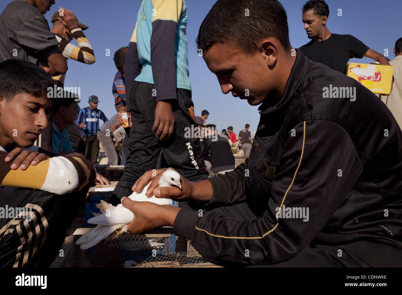 Divided into small sections hi-res stock photography and images - Alamy