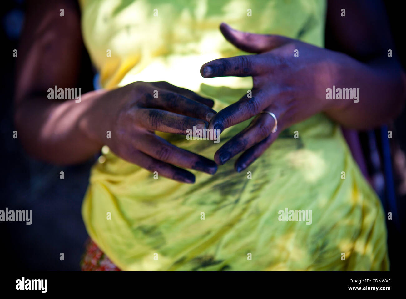 July 03, 2011 - Yolo County, California, U.S. - Black charcoal is a ...
